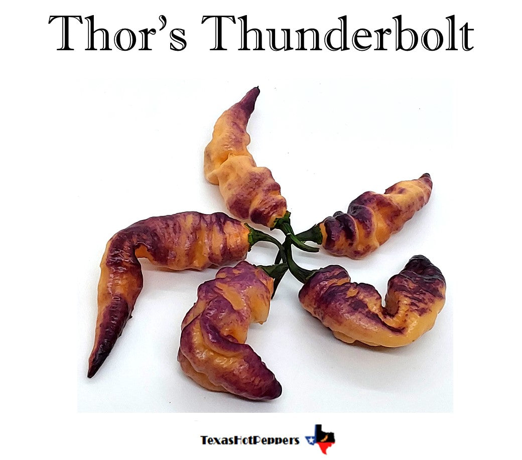 Thor's Thunderbolt – Texas Hot Peppers