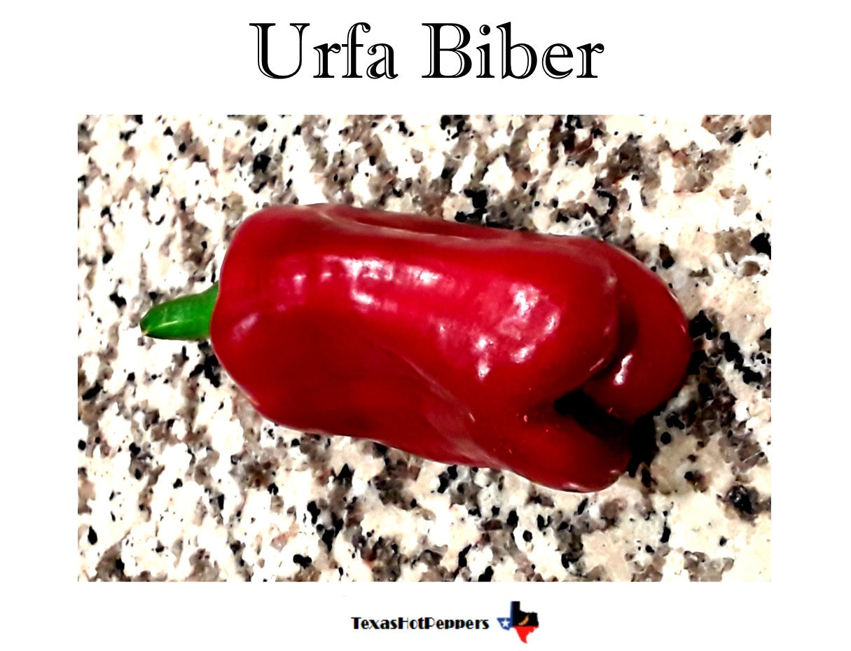 Urfa Biber – Texas Hot Peppers