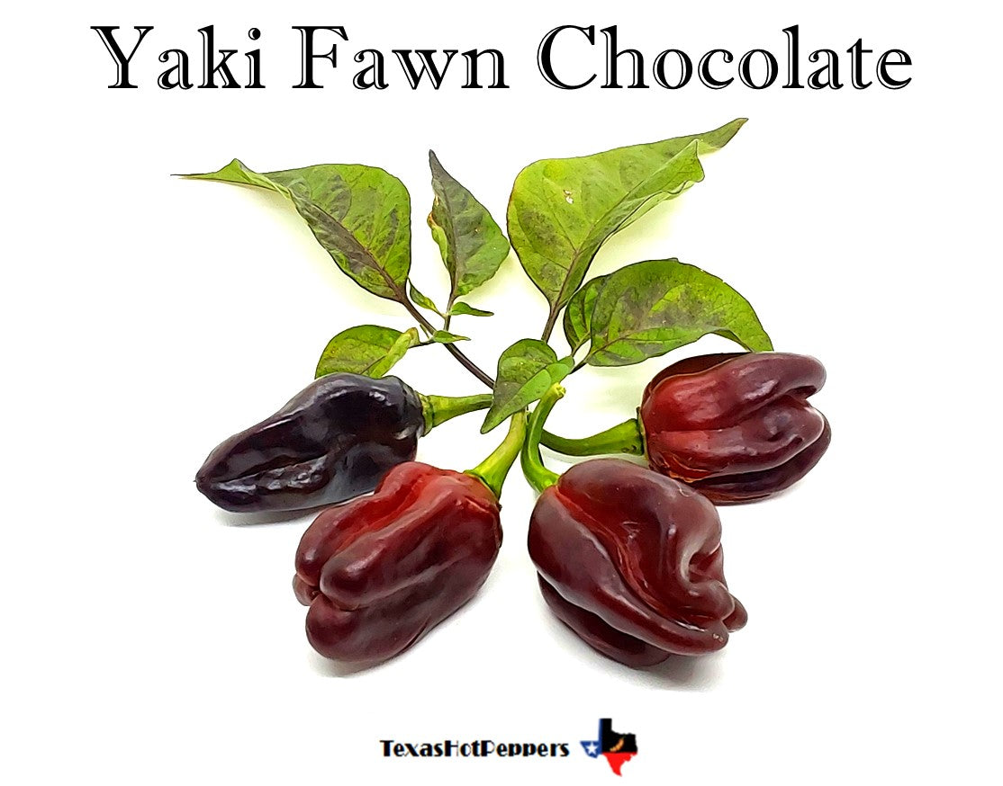 Yaki Fawn Chocolate – Texas Hot Peppers